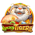 CC6 Slots: Enjoy Thrilling Slot Games and Win Big Rewards